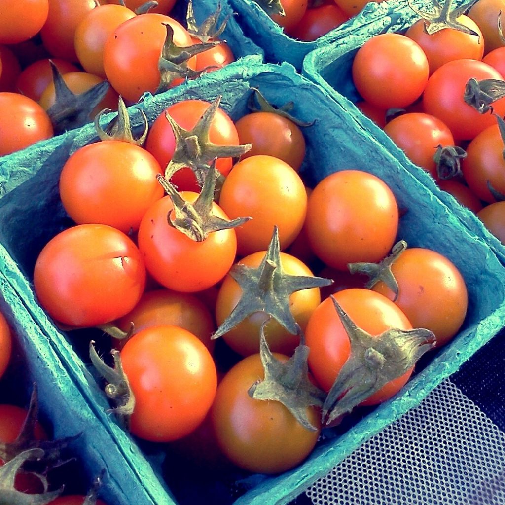 Watermelon Heirloom Tomato Salad (Oil-Free, Vegan) : Plants-Rule