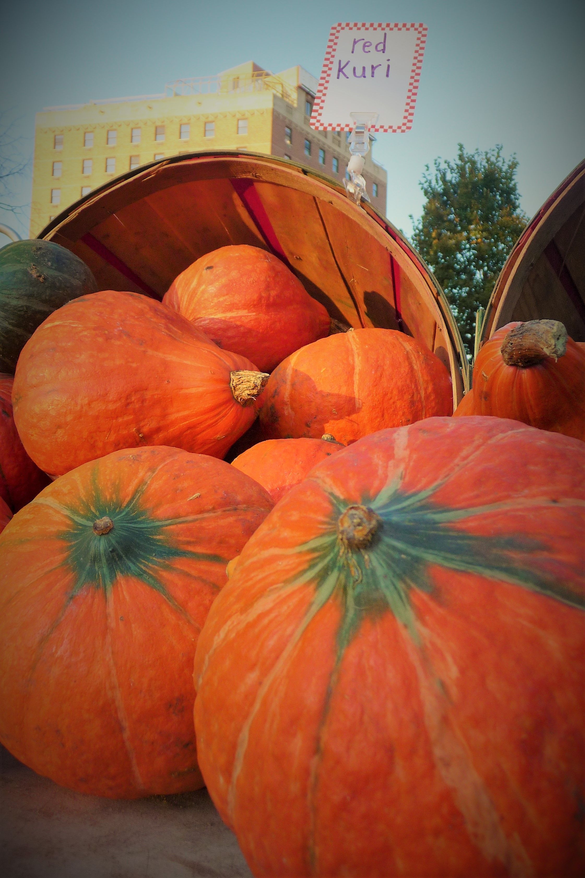 Red Kuri Squash "Drunken Noodles" Curry : Plants-Rule