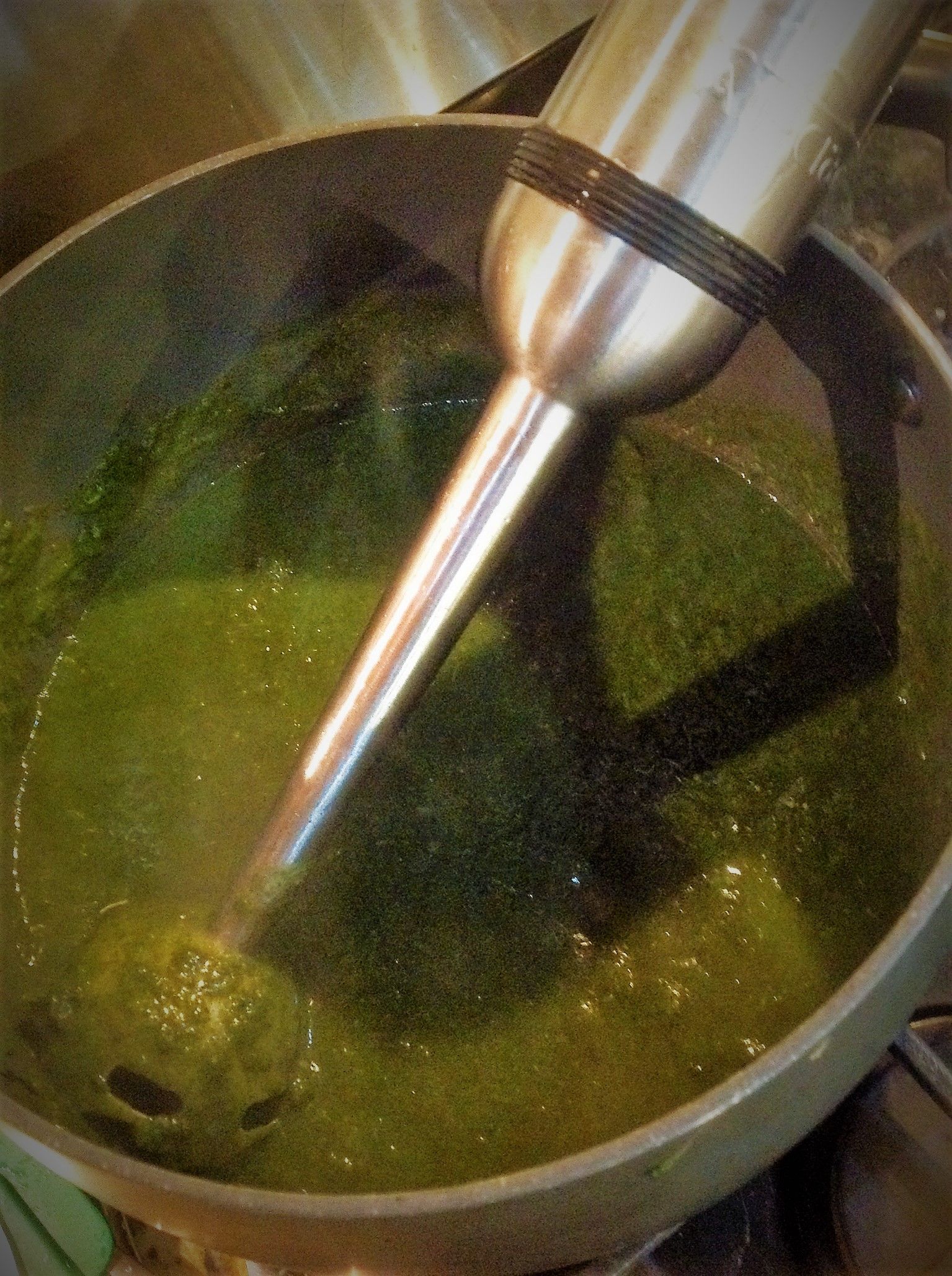 Anna Thomas Classic Green Soup – Oil-Free Version - Plants-Rule