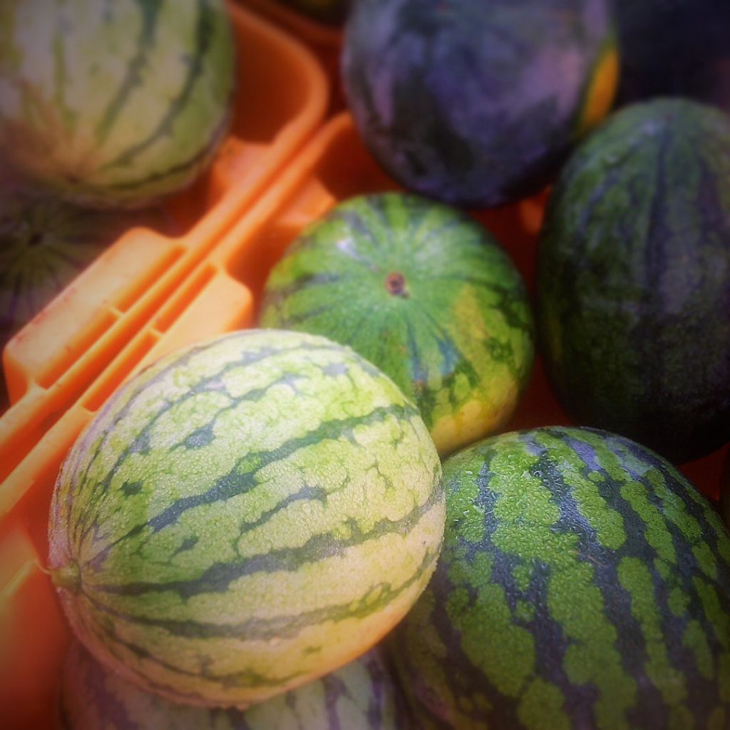 Watermelon Heirloom Tomato Salad (Oil-Free, Vegan) : Plants-Rule